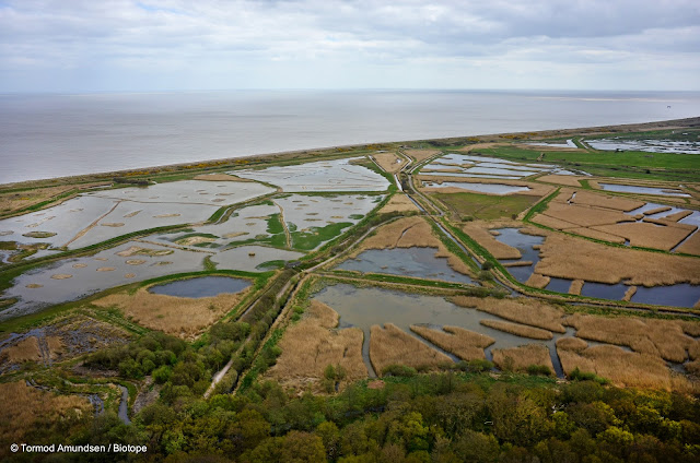 biotope: Intelligent design - the RSPB Minsmere nature reserve