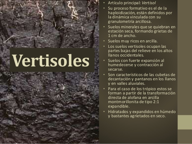 TARAGÜI PORÁ: Tipos de suelos en Corrientes