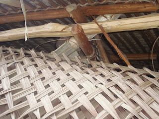 Zainatul Shuhaida: LATAR BELAKANG ORANG ASLI CHE WONG