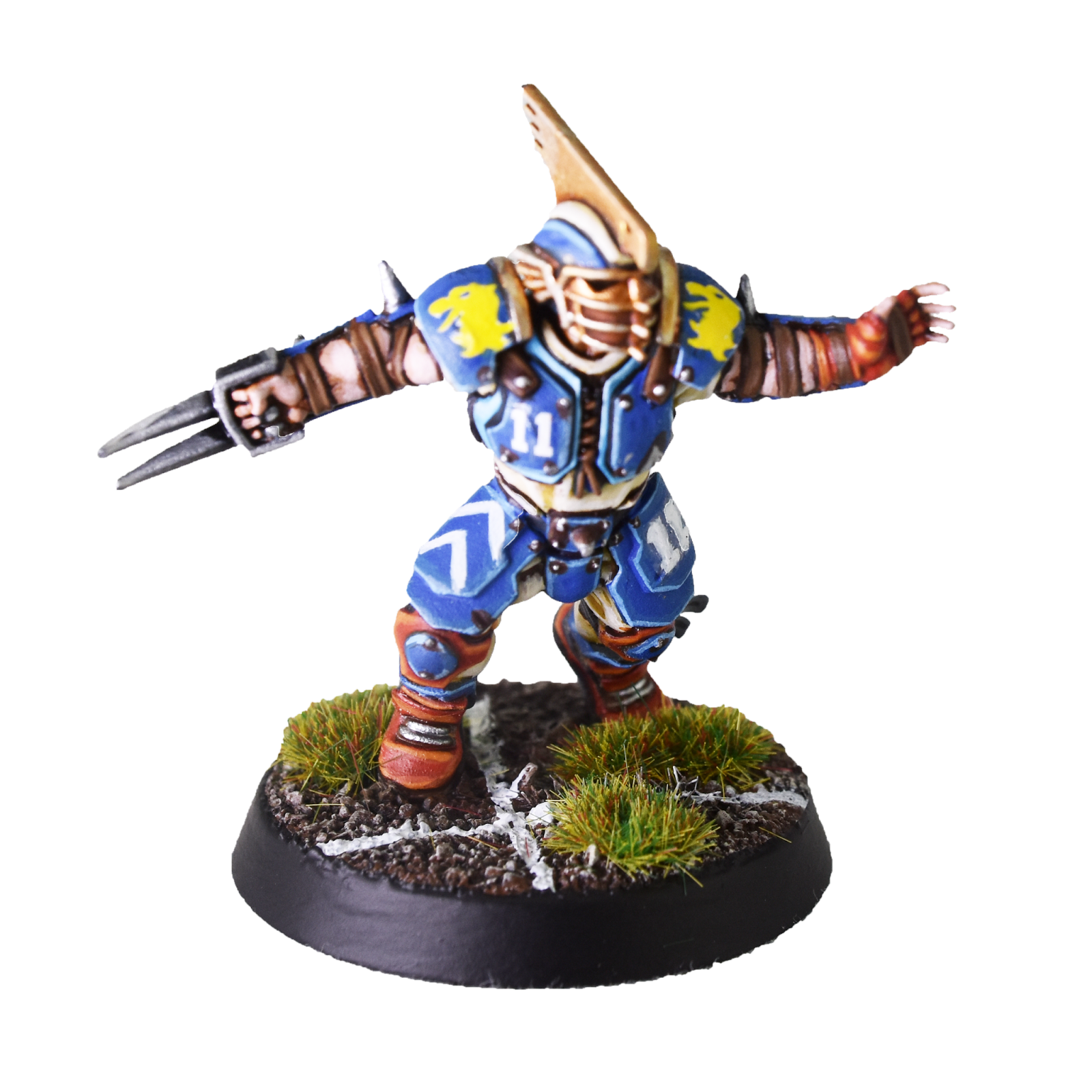 Jay's Wargaming Madness: Blood Bowl - Human Team