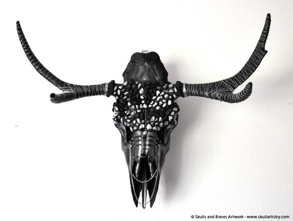 Cherie Cherokee - Official Blog