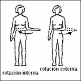 Movimiento del cuerpo humano