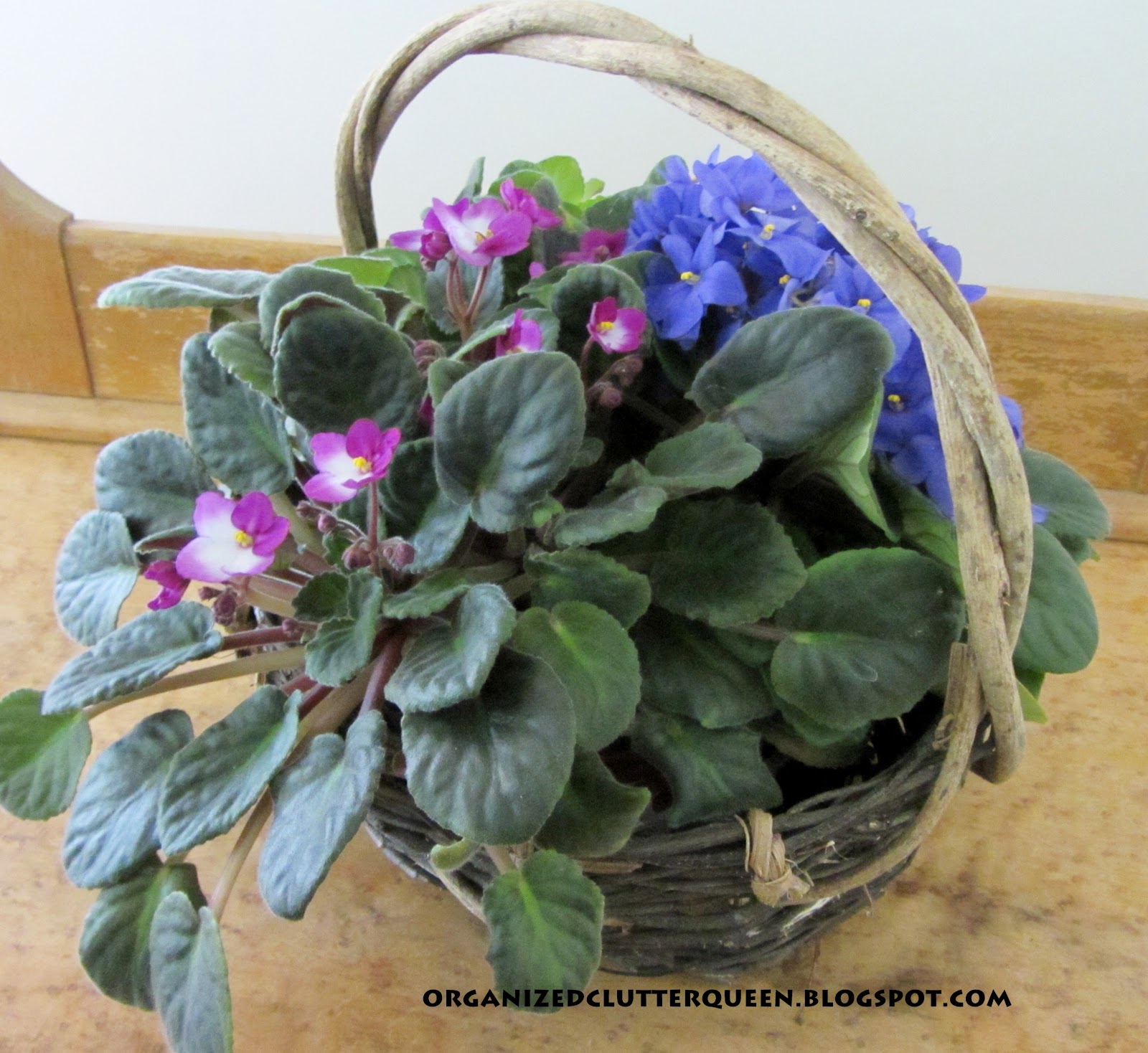 Houseplants Make a Home - Organized Clutter