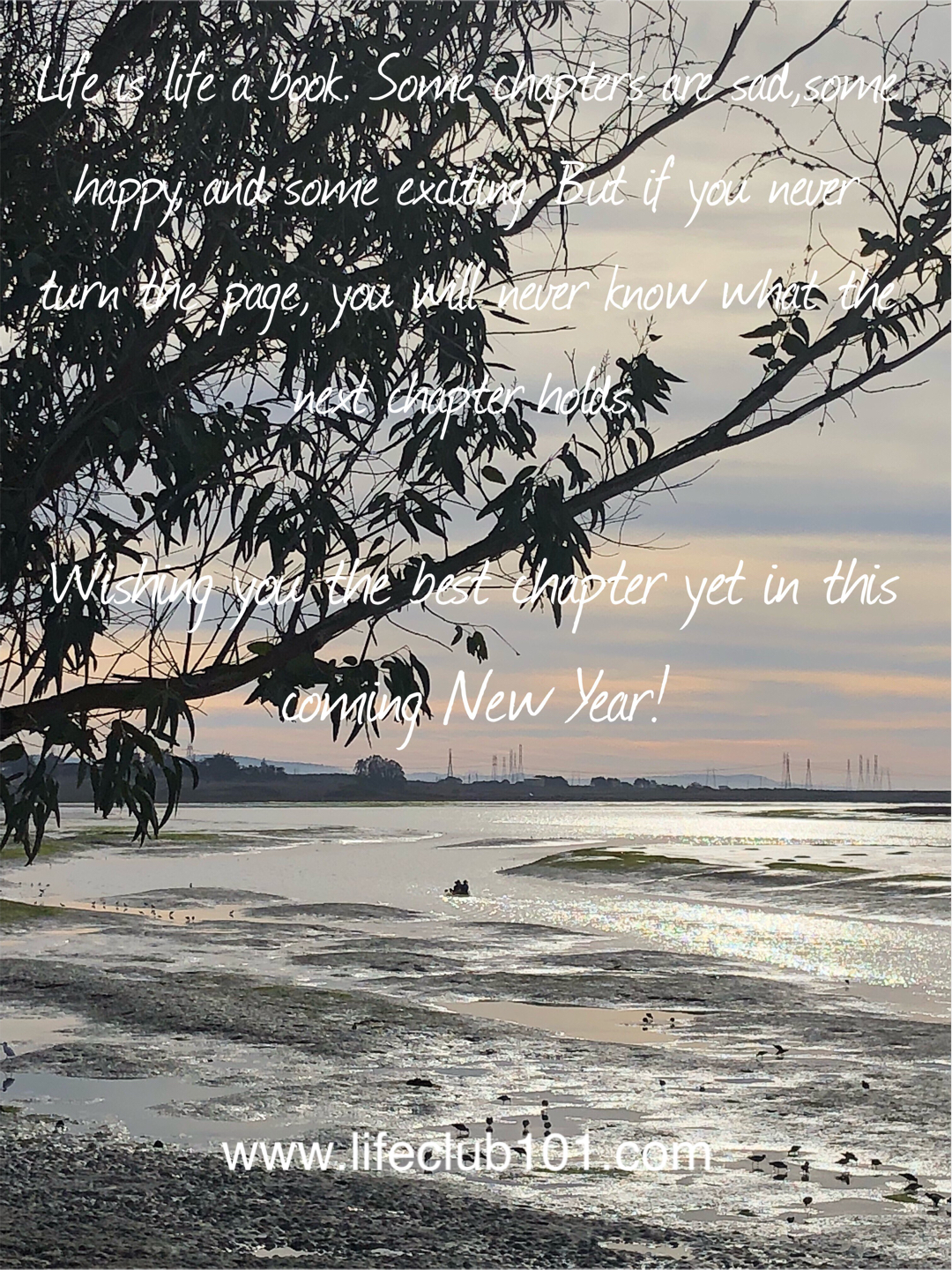 Exciting New Chapter In Life