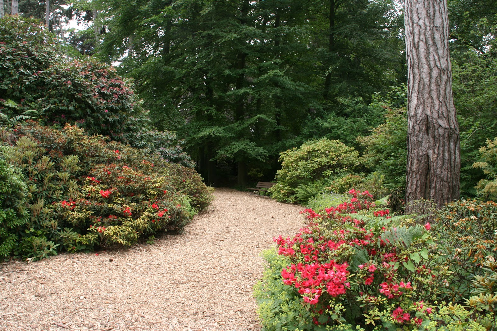 Paisatges i Jardins Landscapes and Gardens: Parc floral de Paris - France