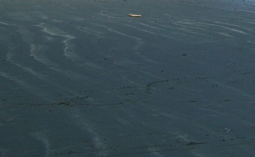 Julie B Booth: Searching for Roy G Biv Challenge: INDIGO