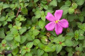 às fevereiro 16, 2017