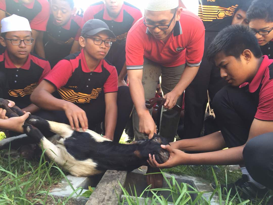 Program Amali Sembelihan