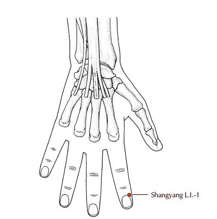 Acupuncture: LI - 1 ( Large Intestine-1)