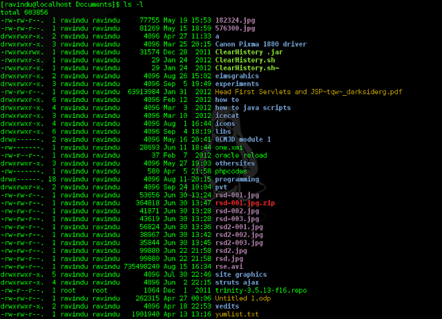 Terminal Commands and Shell Scripting: Basic Terminal Navigation Commands