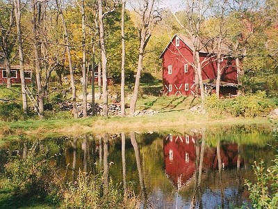 surface fragments: American Primitive Wood Graining