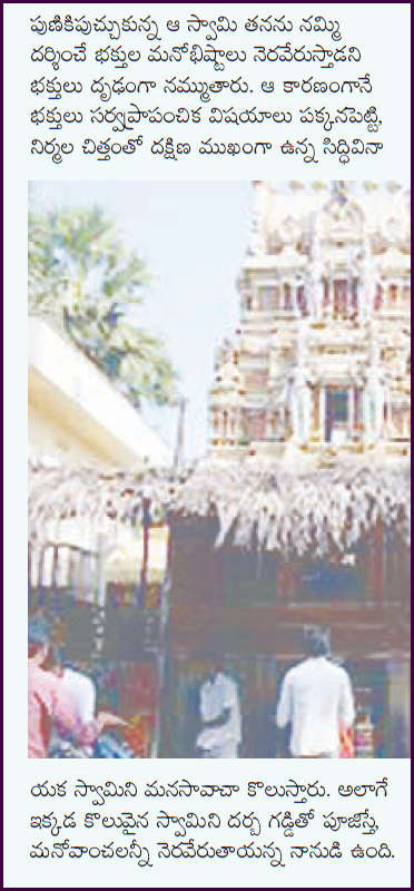 Ainavilli - JungleKey.in Image