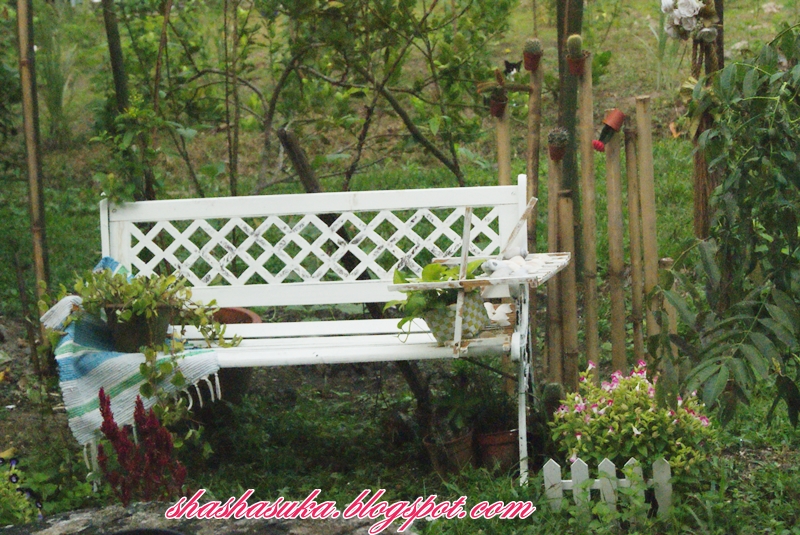 HoBi & KoleKsikU...: Update Taman Bunga Mini