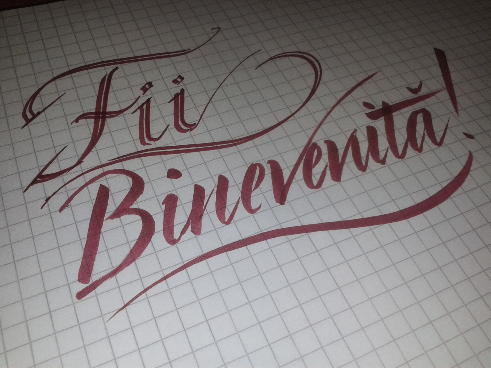 CALIGRAFIE LATINĂ: ADIO CALIGRAFIE sau FII BINEVENITĂ?