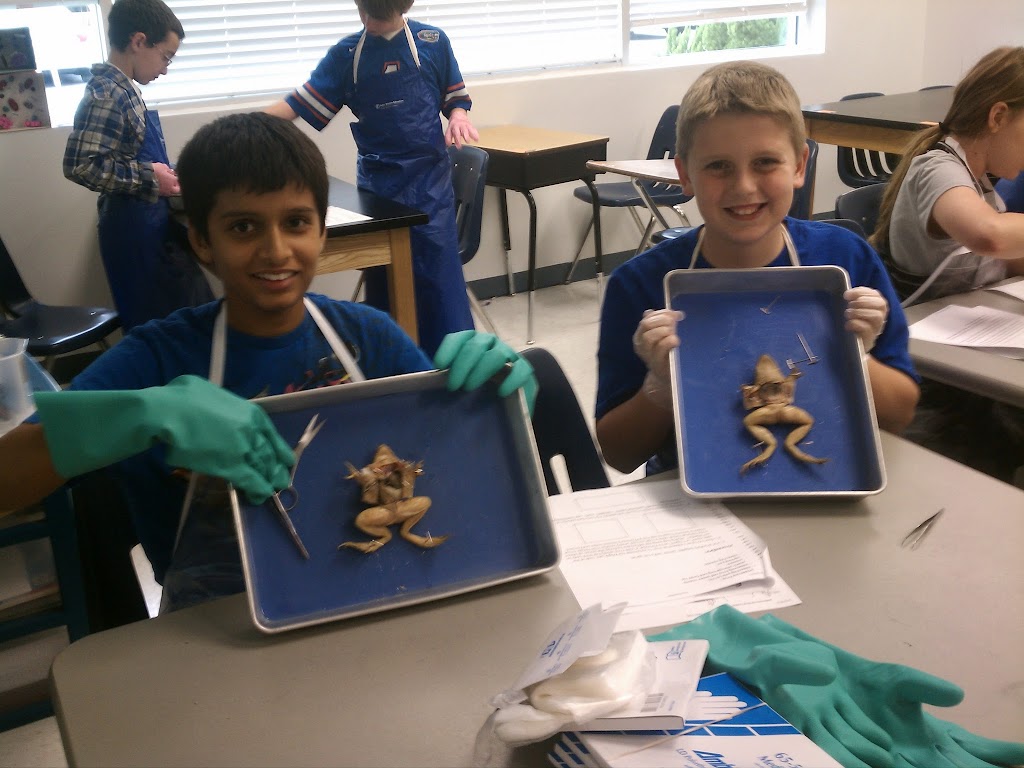 Ms. Corson's Science Class: Dissection Club