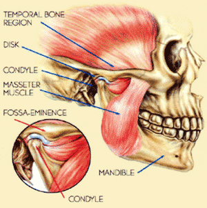 gangguan tmj: MASTIKASI DAN MUSCLE MASTICATORY
