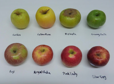 8 Manzanas, comparativa y evocación a vinos blancos