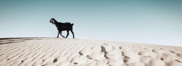 Ready for Sunday: Return of the Scapegoat