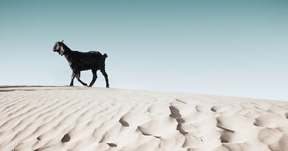 Ready for Sunday: Return of the Scapegoat