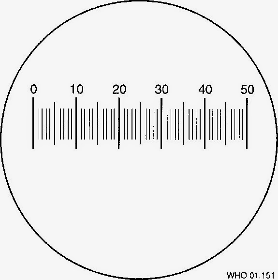 Use of a microscope in laboratory | Tuyenlab