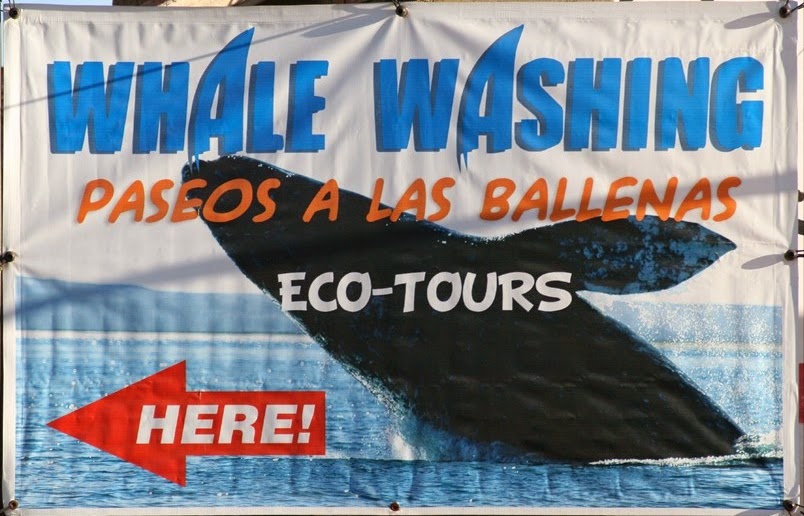 All This Is That: Ten more signs that we love