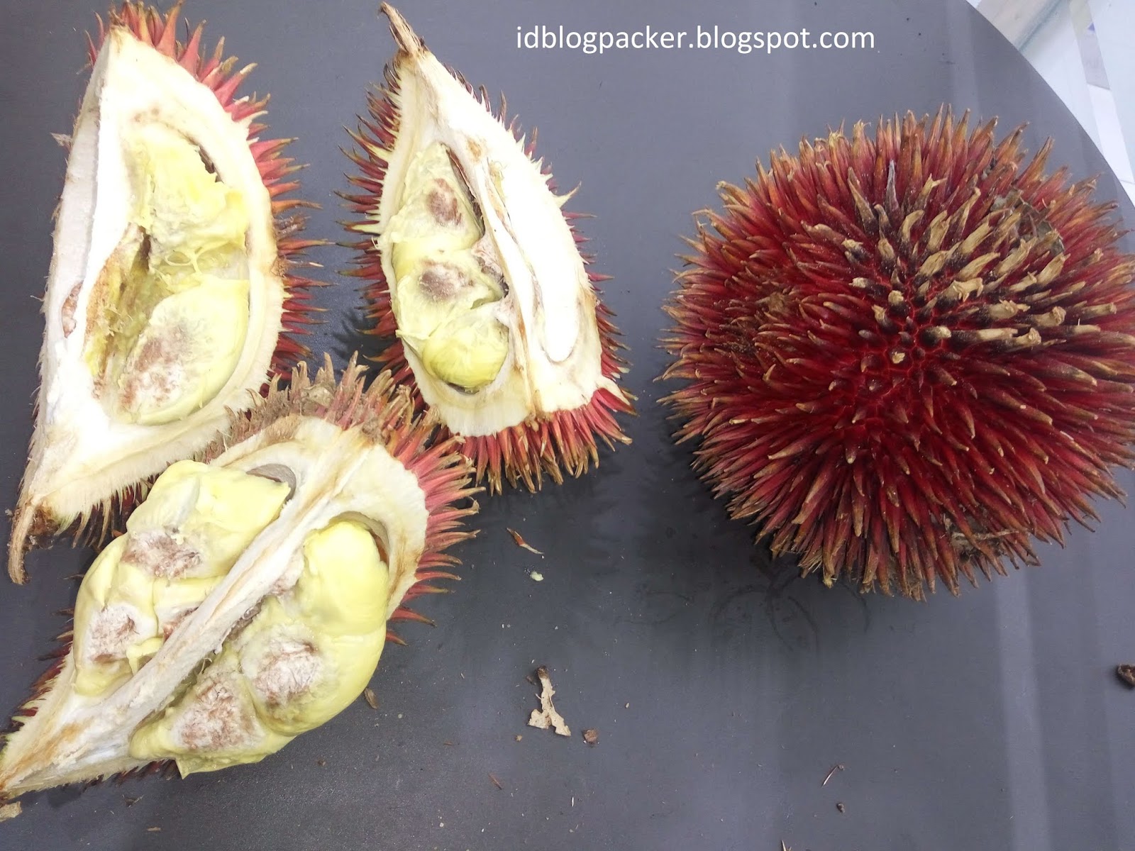 Durian Lahung Buah Nan Eksotis Yang Sangat Langka | idblogpacker ...