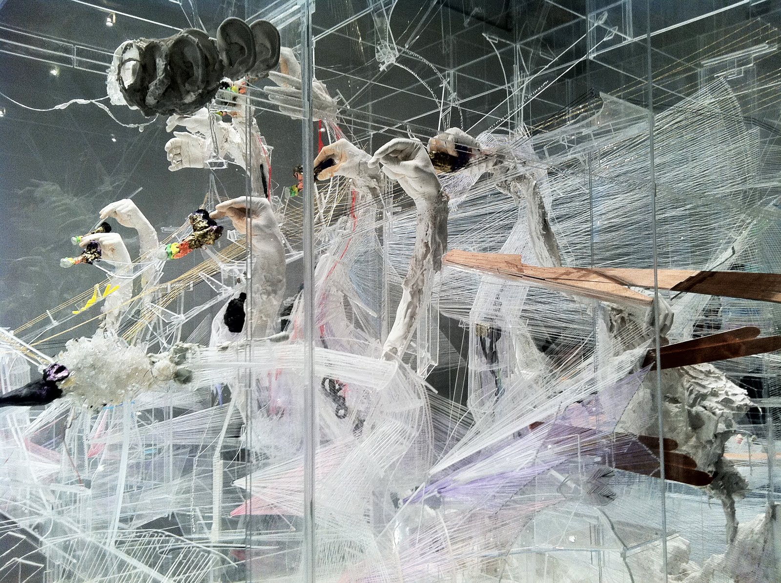 the appearance of things: David Altmejd