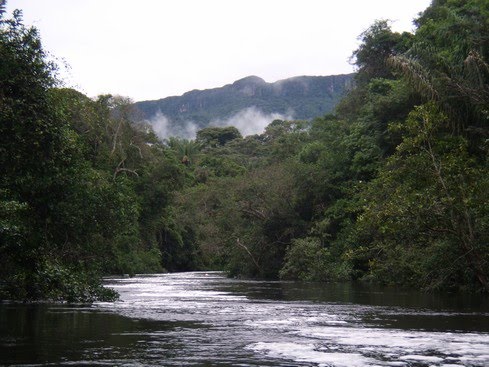 VENEZUELA FISHING: EXPEDICION ALTO PARAGUA