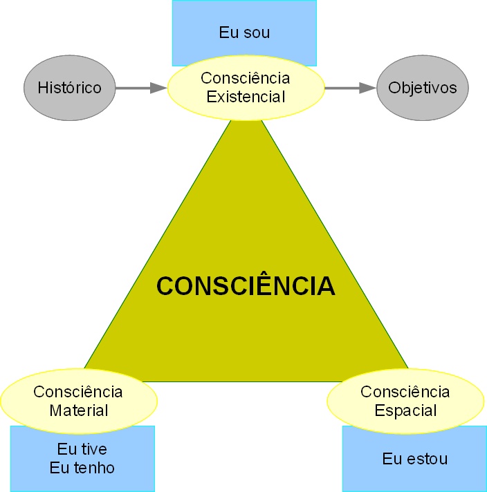 O cérebro (The brain): Consciência, aqui, agora e aberrações