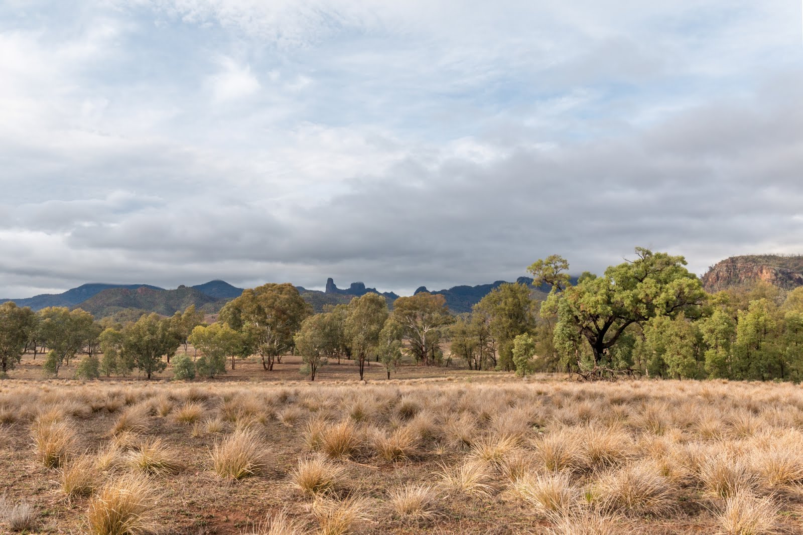 National Park Odyssey: Tara Cave Walking Track and Belougery Flats ...