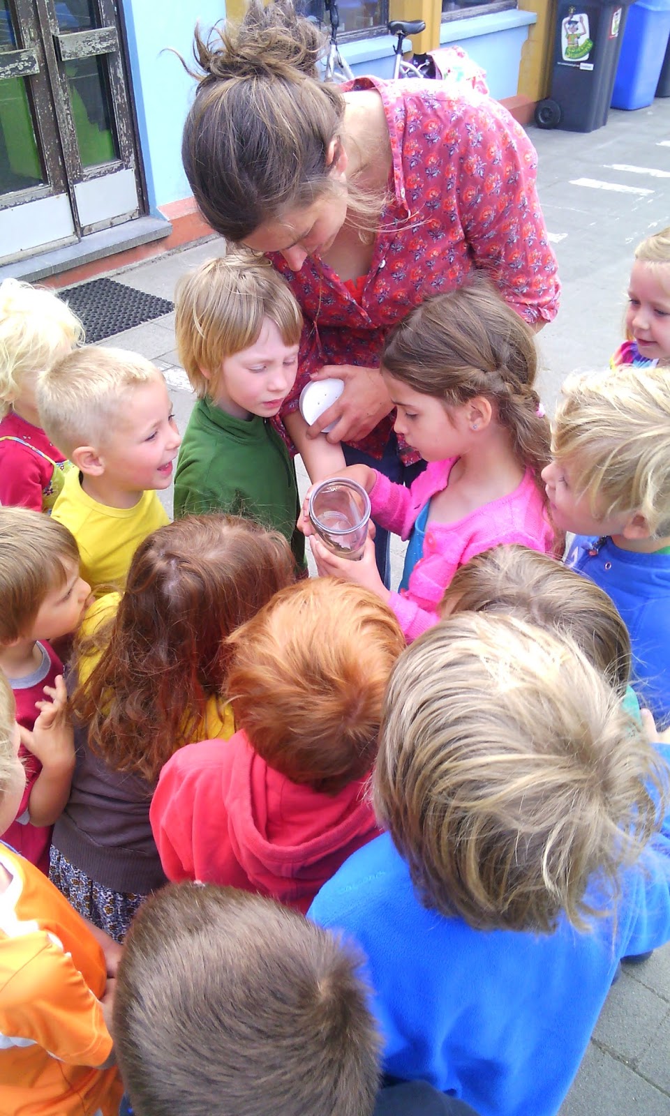 van rups tot pop tot vlinder | Leefschool Dagpauwoog