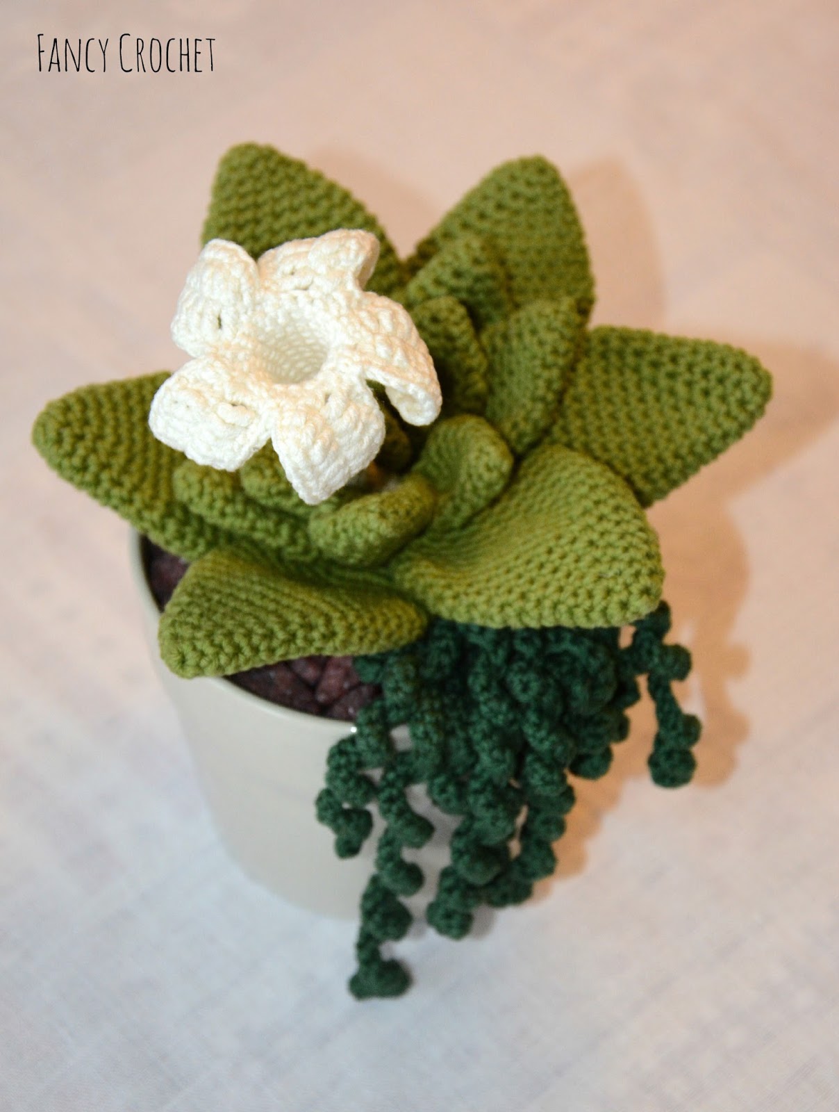 Fancy Crochet: Agave con fiore bianco