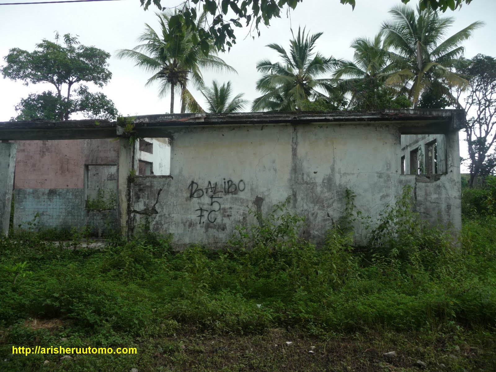 Imagens ~ Historia Balibo Five (5)