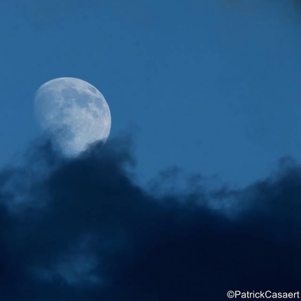 The Digital Teacher: The Magic Blue Moon in Sciences Education : resources