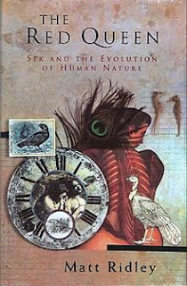 O cão que fuma...: Vitor comenta intervenção da deputada petista (MG ...