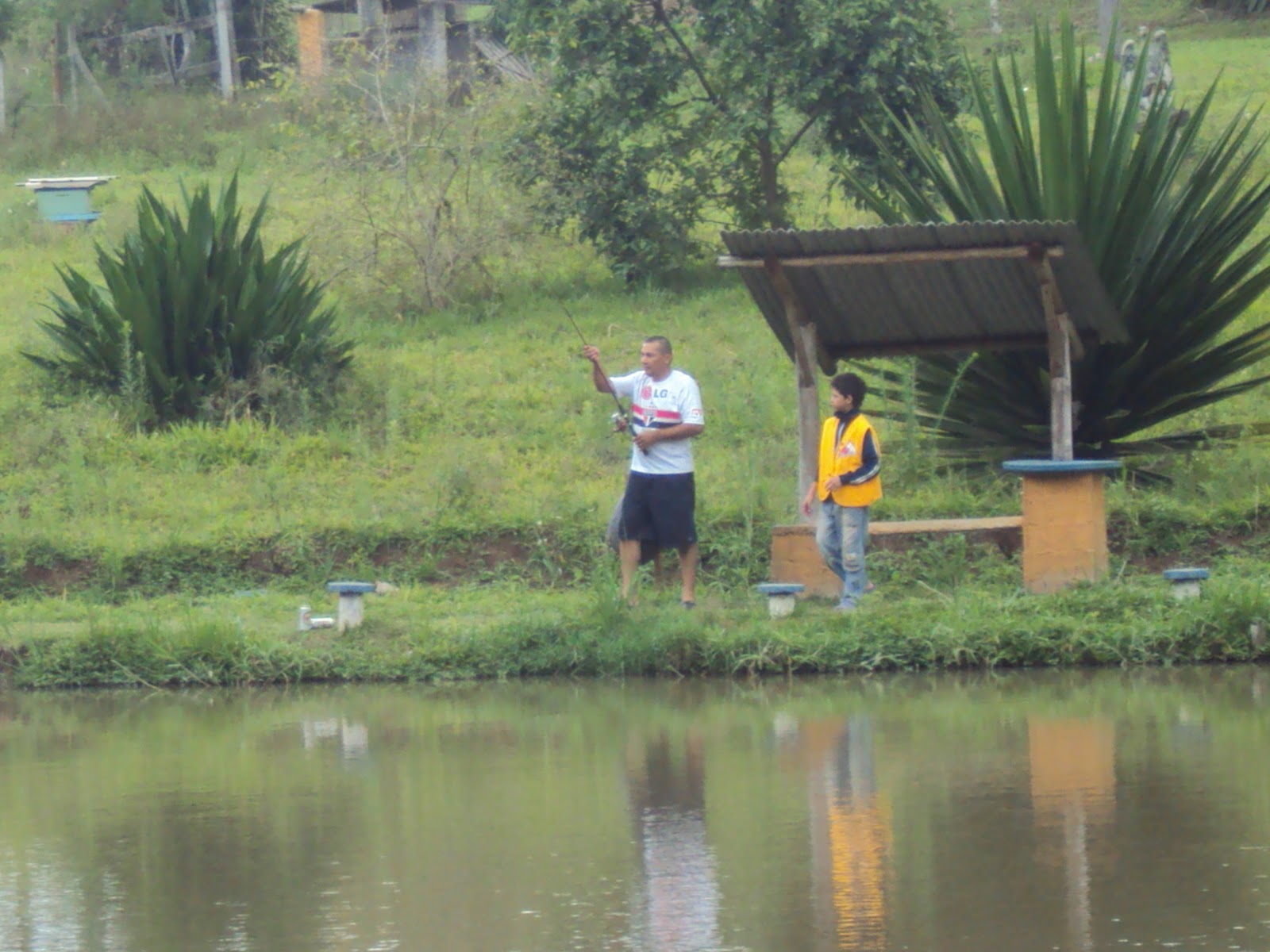 OS PESCADORES TS: pesqueiro triangulo - 03/12/2011