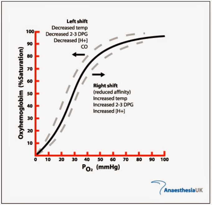BIOLOGY: CHAPTER 7(b) - DISSOCIATION CURVE