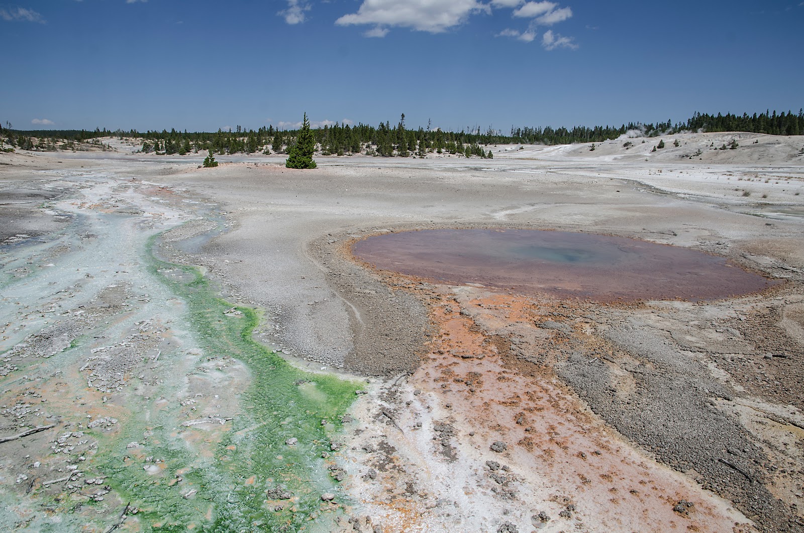 Я і моє життя: Національний парк "Єллоустон" (Yellowstone National Park)