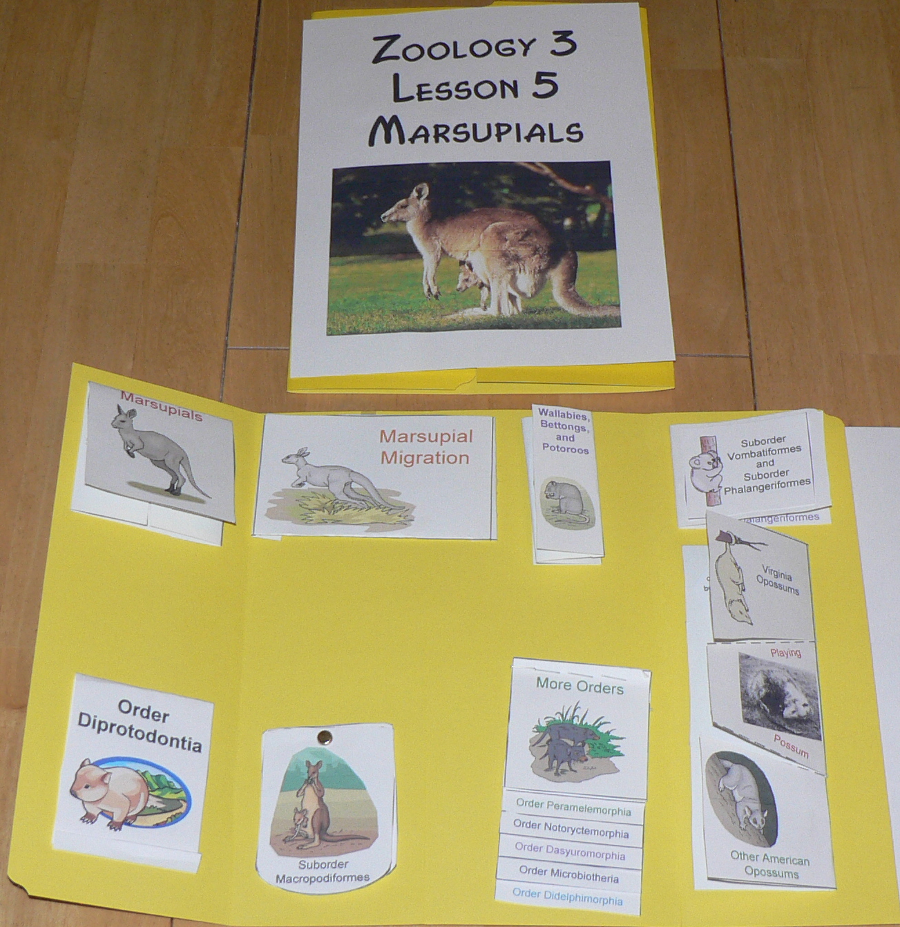 Walking by the Way: Our Zoo 3 Lapbooks by A Journey Through Learning