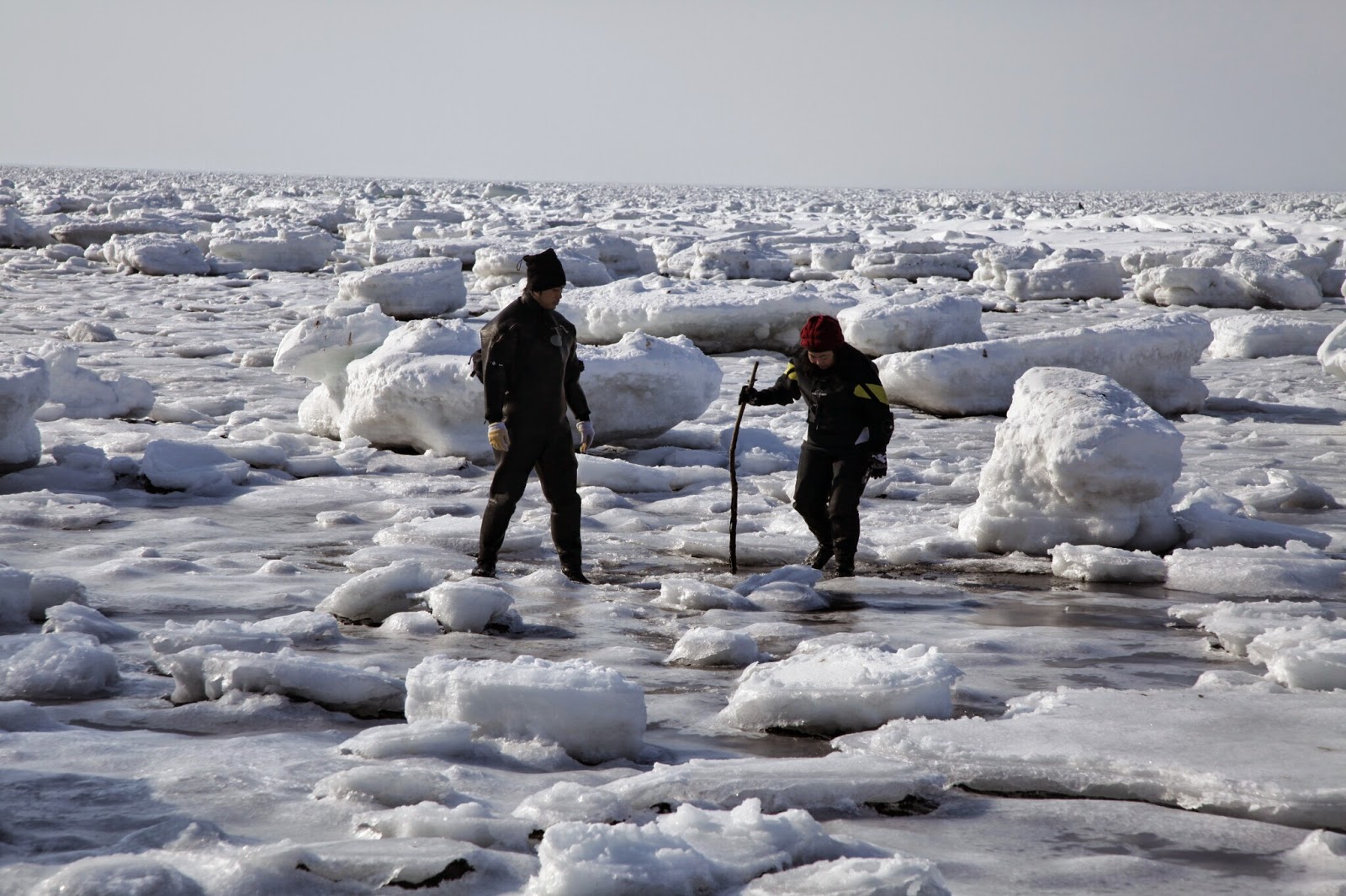 知床100天 100 days of Shiretoko: [知床] 流冰漫步 Drift ice walk, Shiretoko