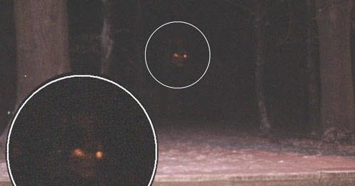Real Dogman Encounter In Eastern Texas