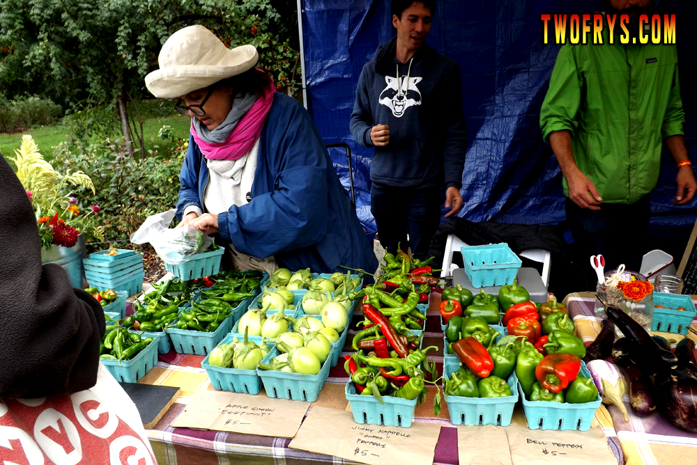 Two Frys: Chile Pepper Festival 2016 Part 2