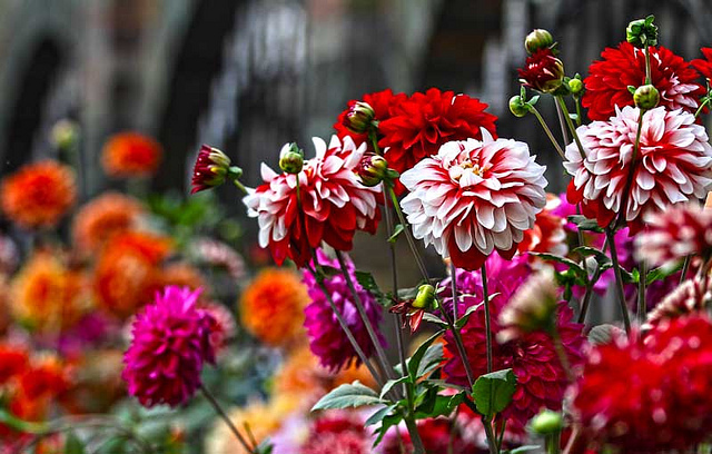 Bangladesh The land of six seasons : Spring ~ Hotels and Tourism in ...