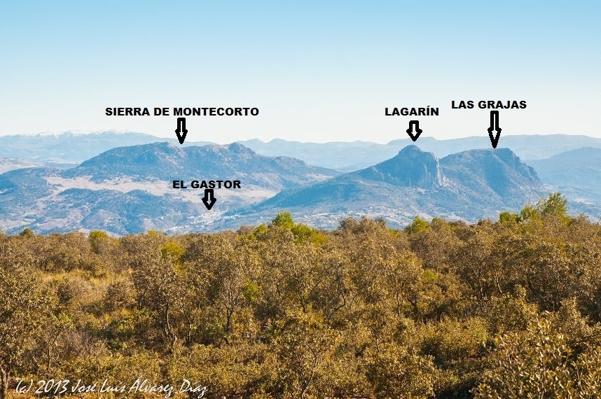 .: SUBIDA AL MOGOTE (PICO DE LÍJAR) POR LOS NACIMIENTOS - 1 DIC 2013