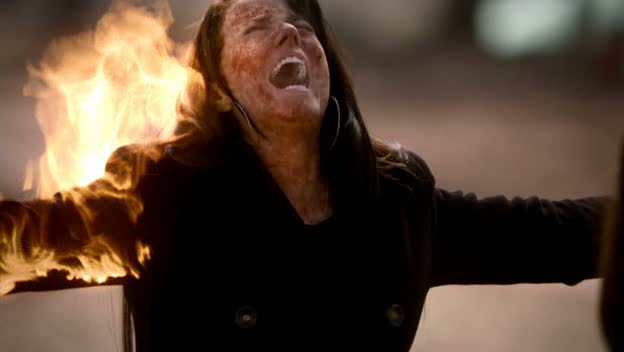 The Vampire Diaries Diary