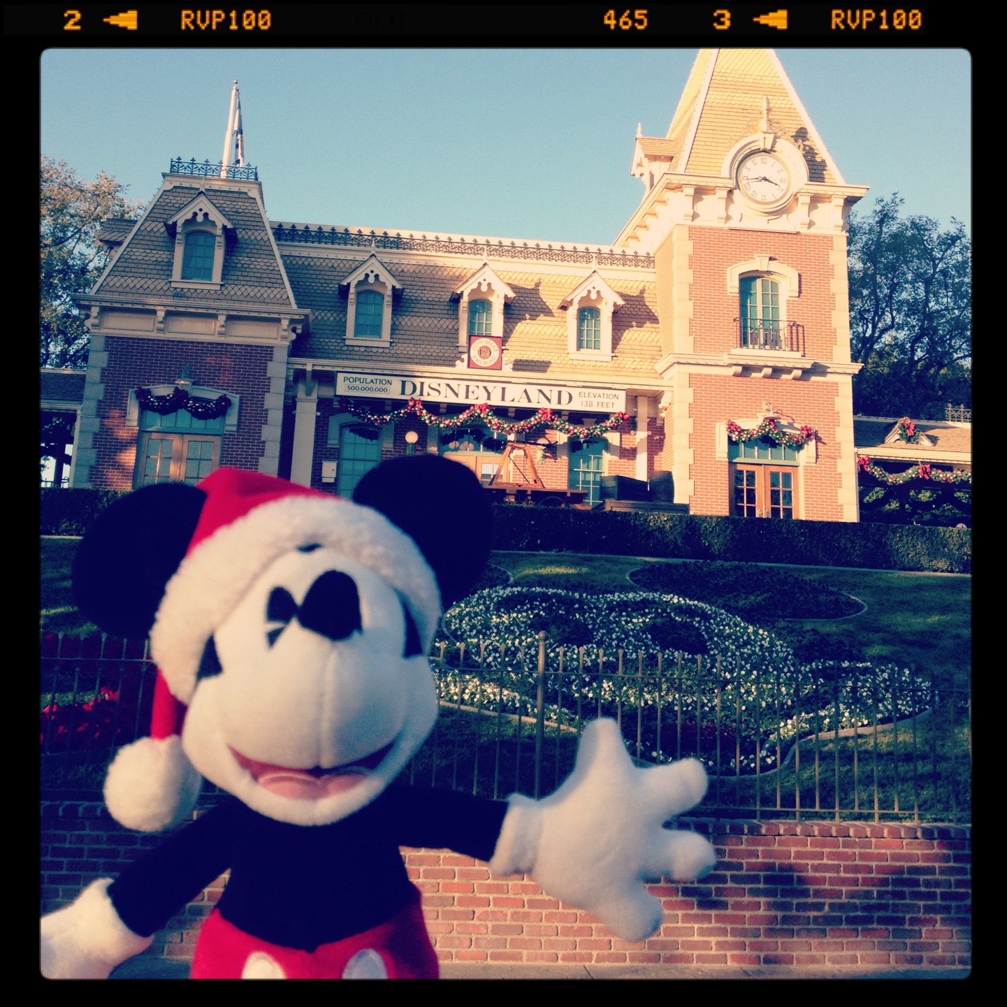 Magical Days with the Mouse