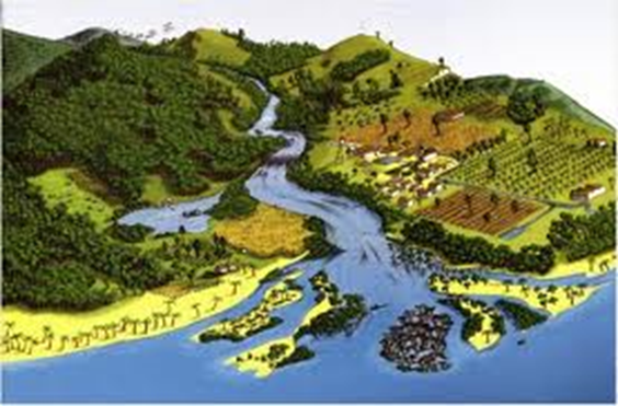 GESTION DE CUENCAS HIDROGRAFICAS: EL MANEJO DE CUENCAS