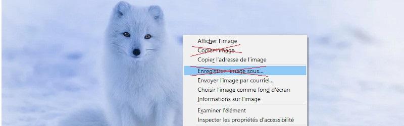 Comment désactiver le clic droit et la fonction copier-coller sur son ...