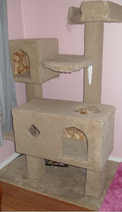Brian's Projects: The Cat Play Place - For Casey the Cat
