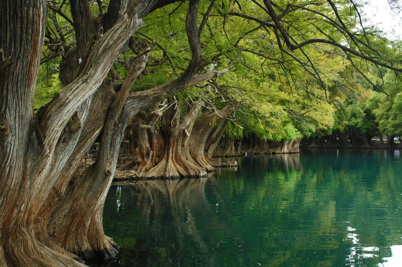 Un lugar en el mapa...: Lago de Camécuaro. Oasis en el casi-desierto.